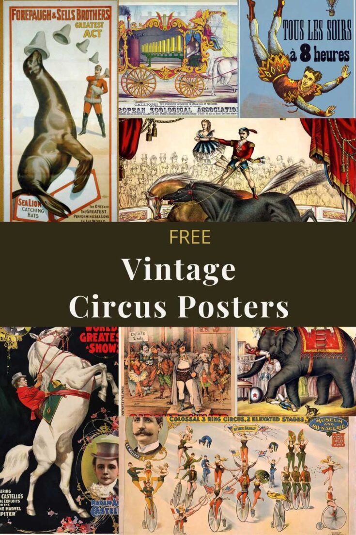 Colorful And Fun Free Vintage Circus Posters To Download - Picture Box Blue