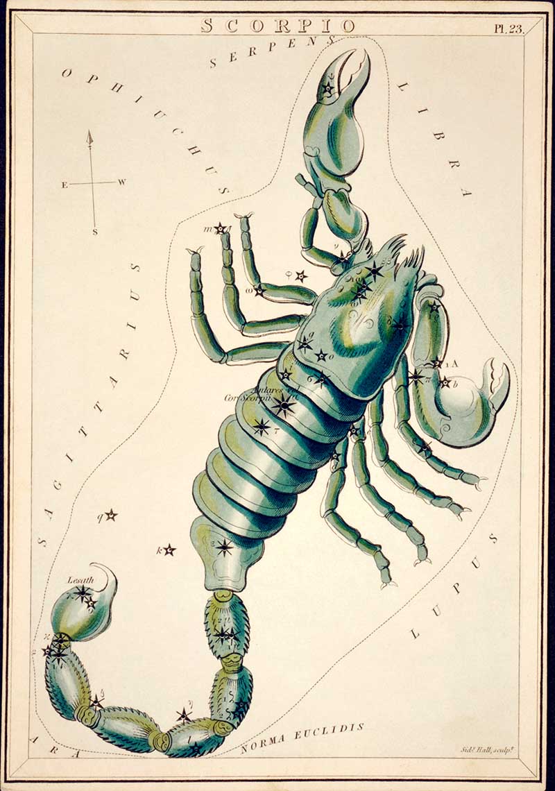 Wonderful Free Vintage Zodiac Sign Pictures To Print - Picture Box Blue