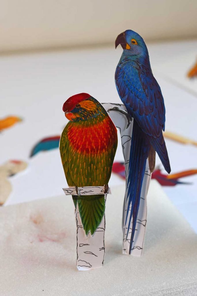 How To Make A Fun Parrot Decor For An IKEA Glass Cloche - Picture Box Blue