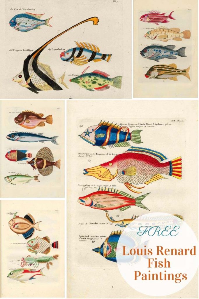 How To Make A Beautiful Decoupage Shell Dish - Picture Box Blue