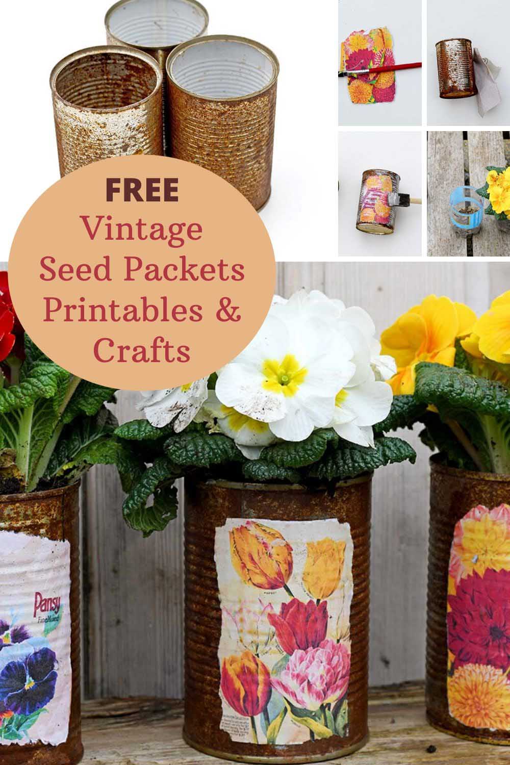 How To Craft With Free Vintage Seed Packets Art - Picture Box Blue