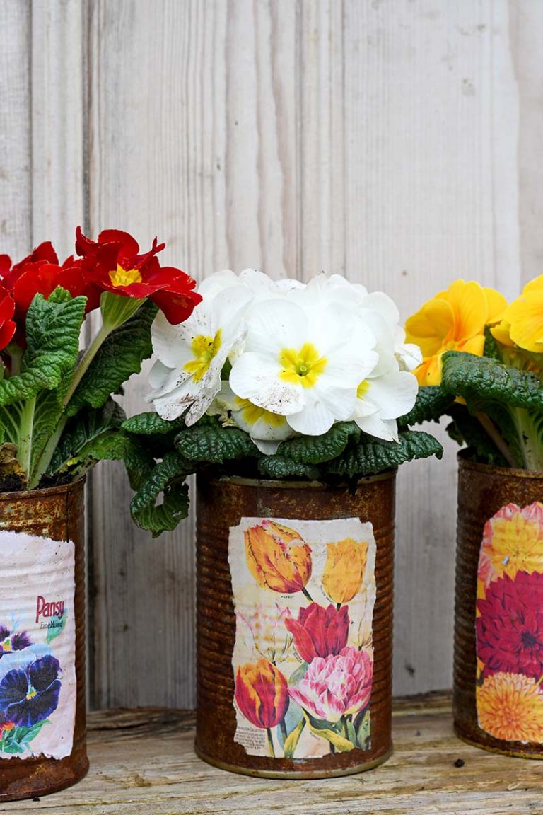 How To Craft With Free Vintage Seed Packets Art - Picture Box Blue
