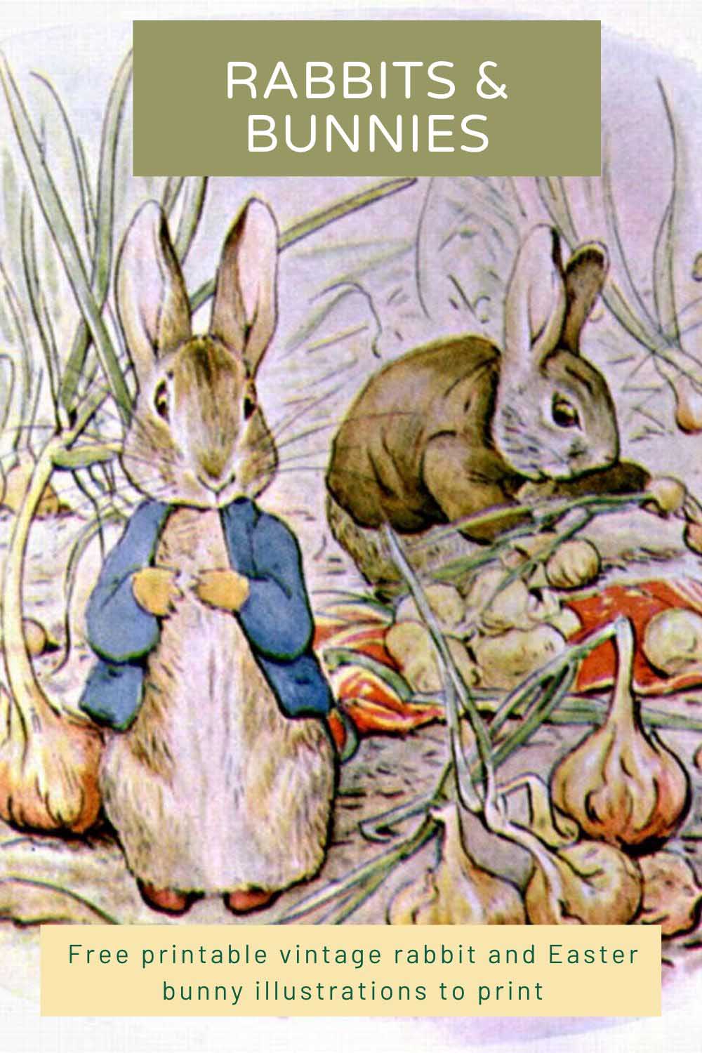 Free Cute Vintage Rabbit & Easter Bunny Pictures - Picture Box Blue