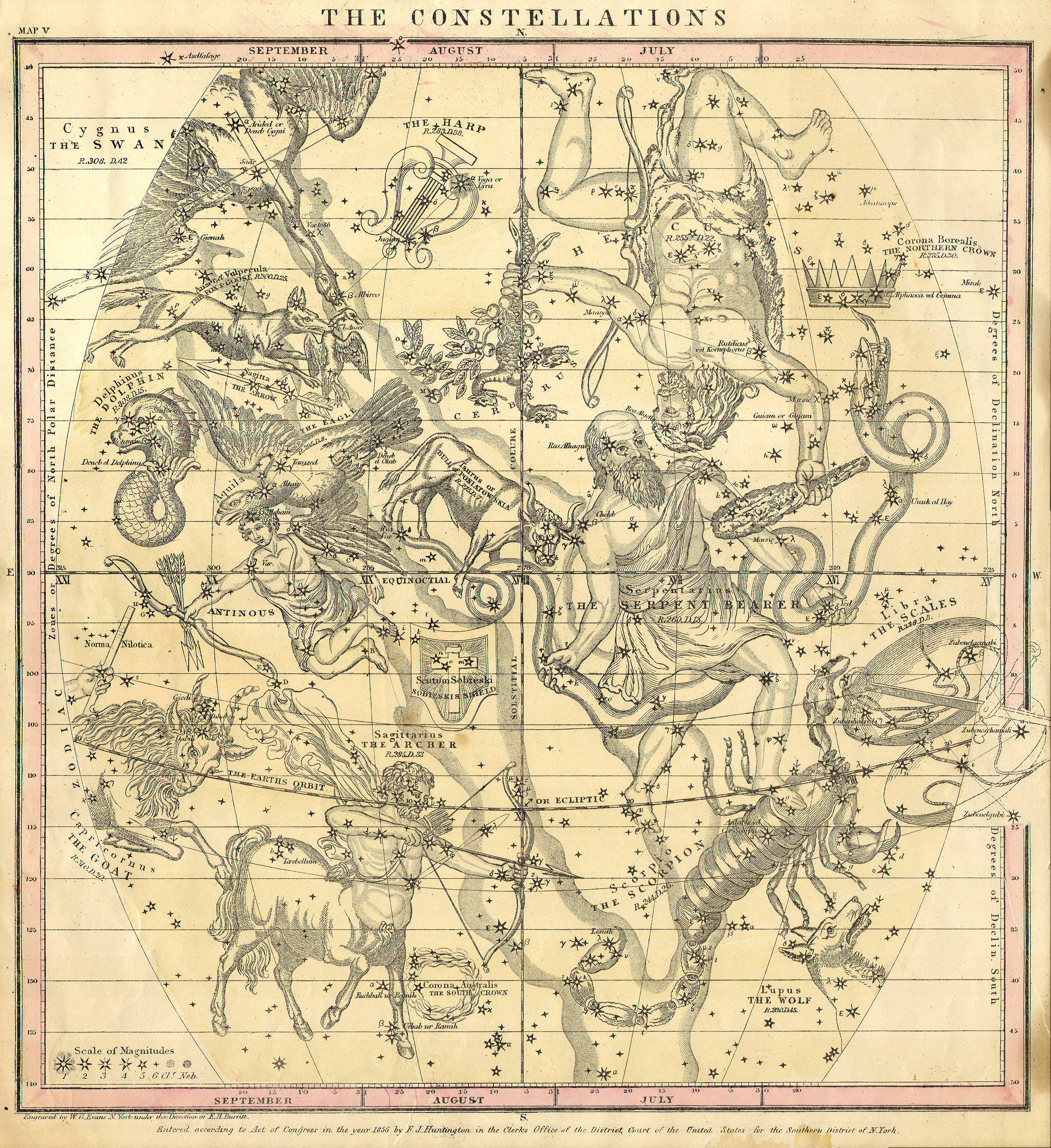 printable constellation chart