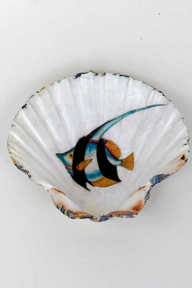How to Create Beautiful Decoupage Shell Dishes Easily - Picture Box Blue