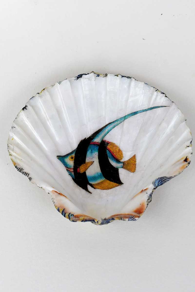 How to Create Beautiful Decoupage Shell Dishes Easily - Picture Box Blue