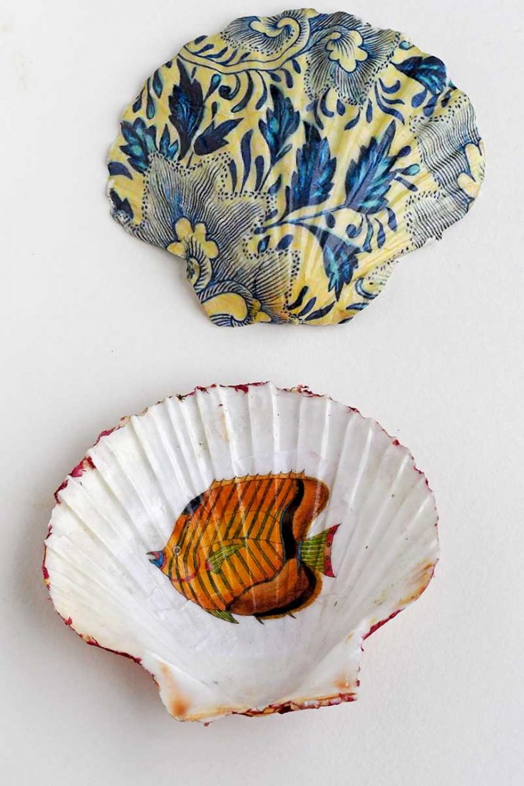 How to Create Beautiful Decoupage Shell Dishes Easily - Picture Box Blue