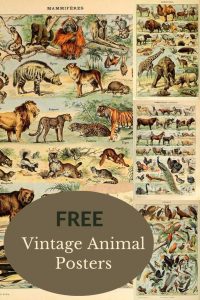 14 Free Animal Posters From Illustrated Larousse Dictionaries - Picture ...
