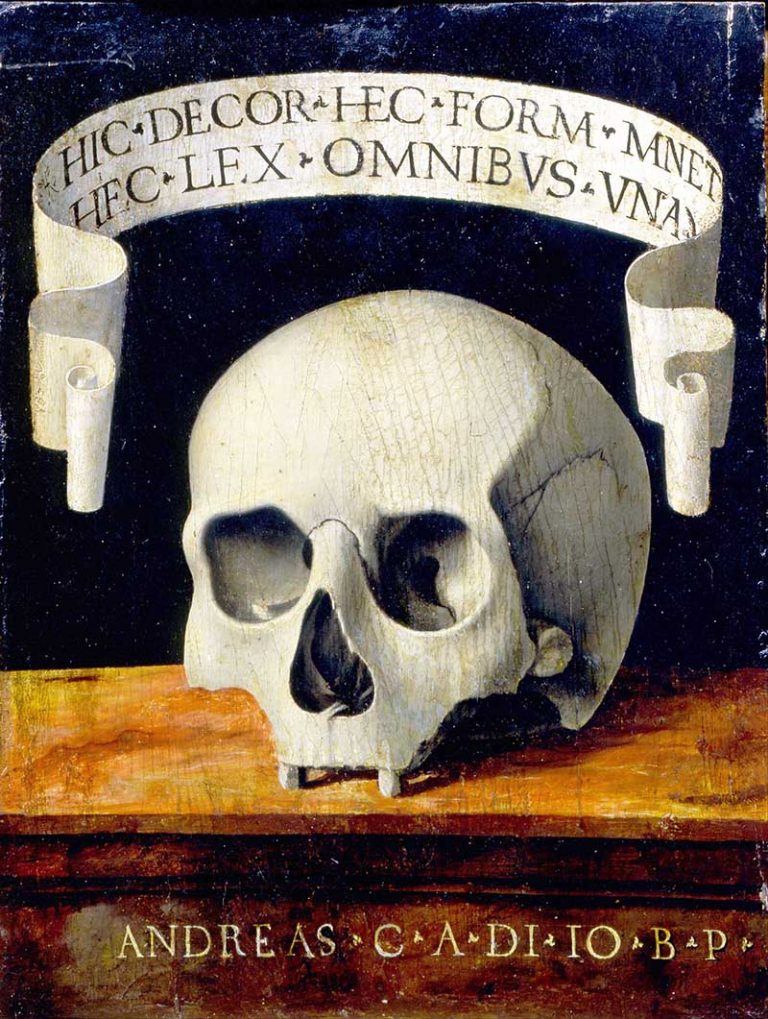 Human Skull Drawings: Free Vintage Anatomy and Art Prints - Picture Box ...