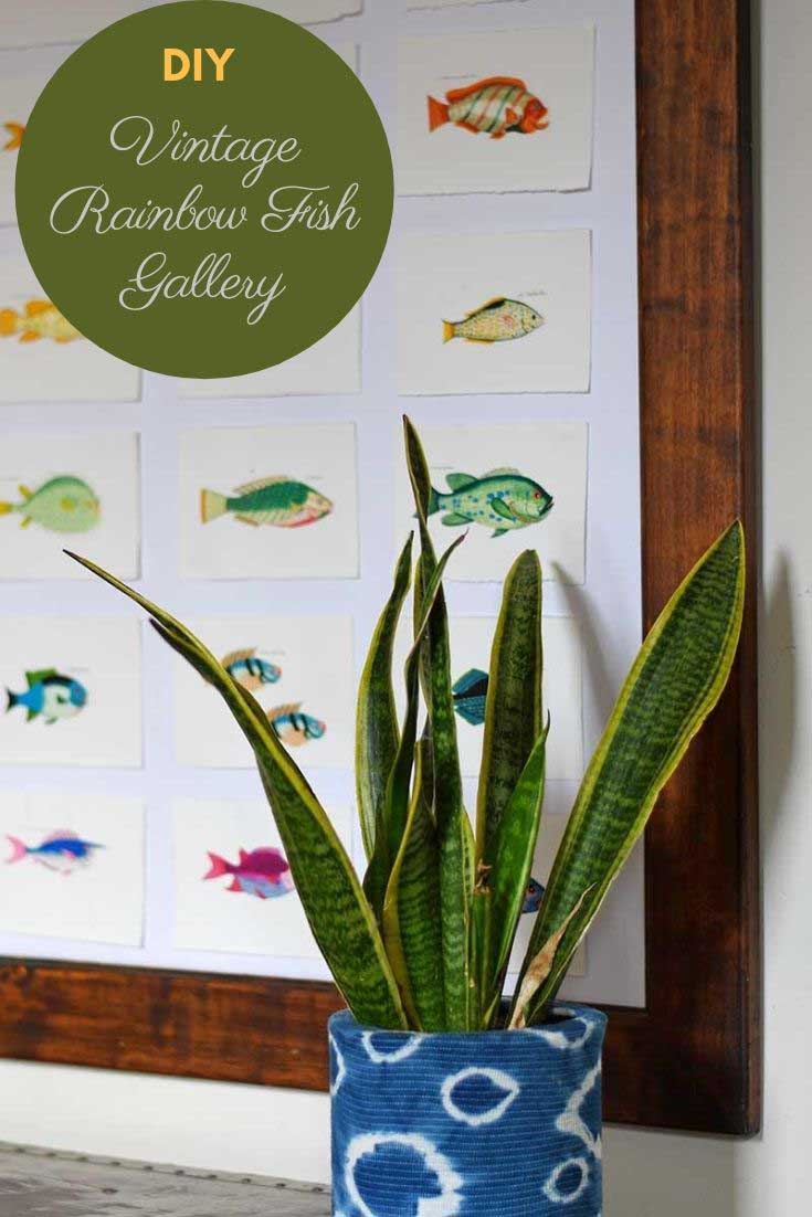 Vintage Art, Modern Flair: A Rainbow Fish Display Using Louis Renard ...