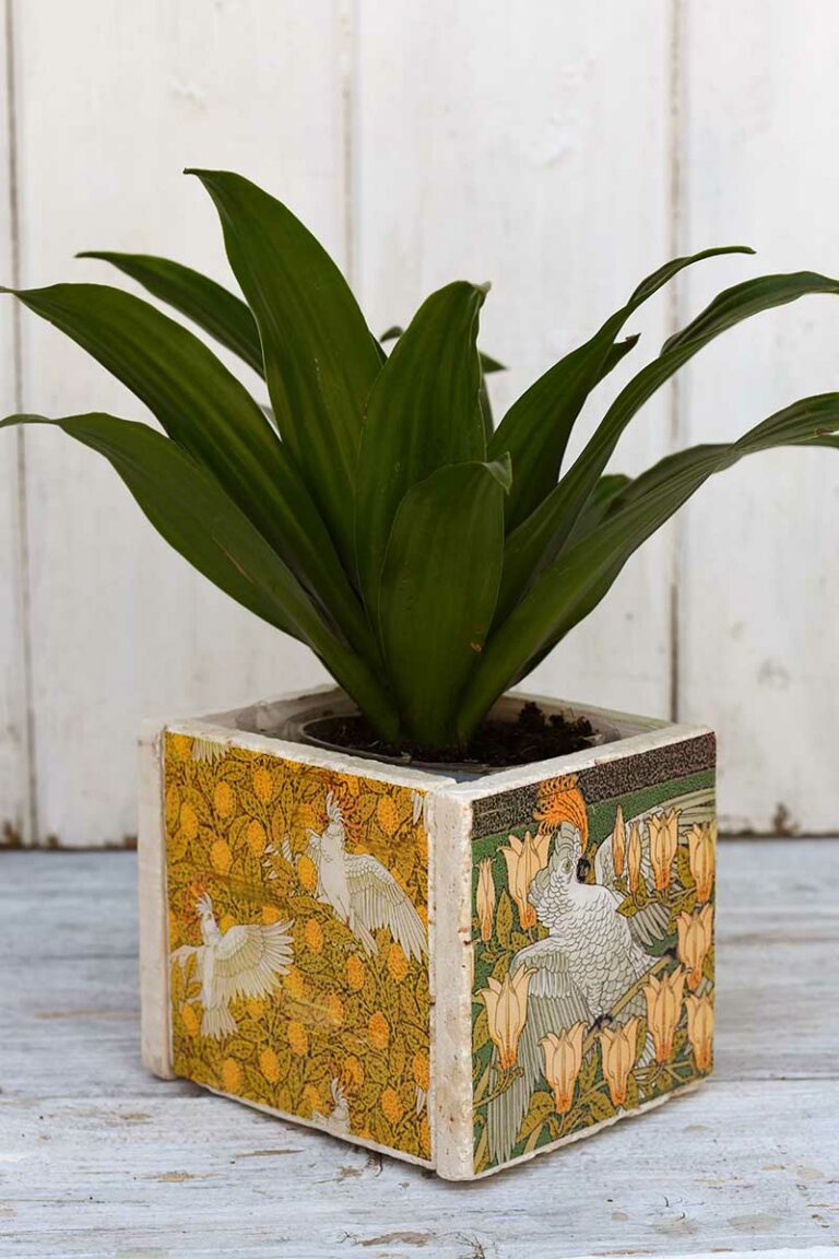 How To Make DIY Tile Coasters and Tile Planters - Picture Box Blue