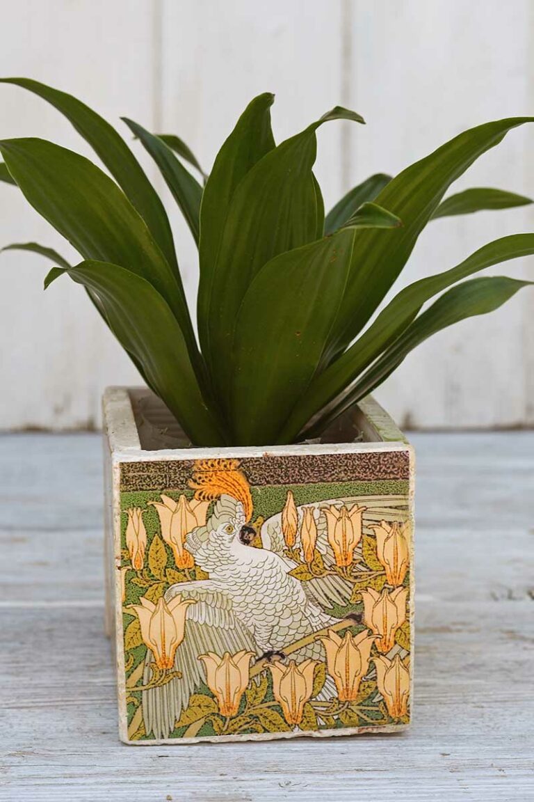 How To Make DIY Tile Coasters and Tile Planters - Picture Box Blue