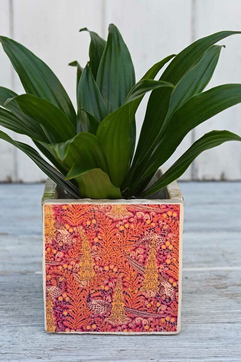How To Make DIY Tile Coasters and Tile Planters - Picture Box Blue
