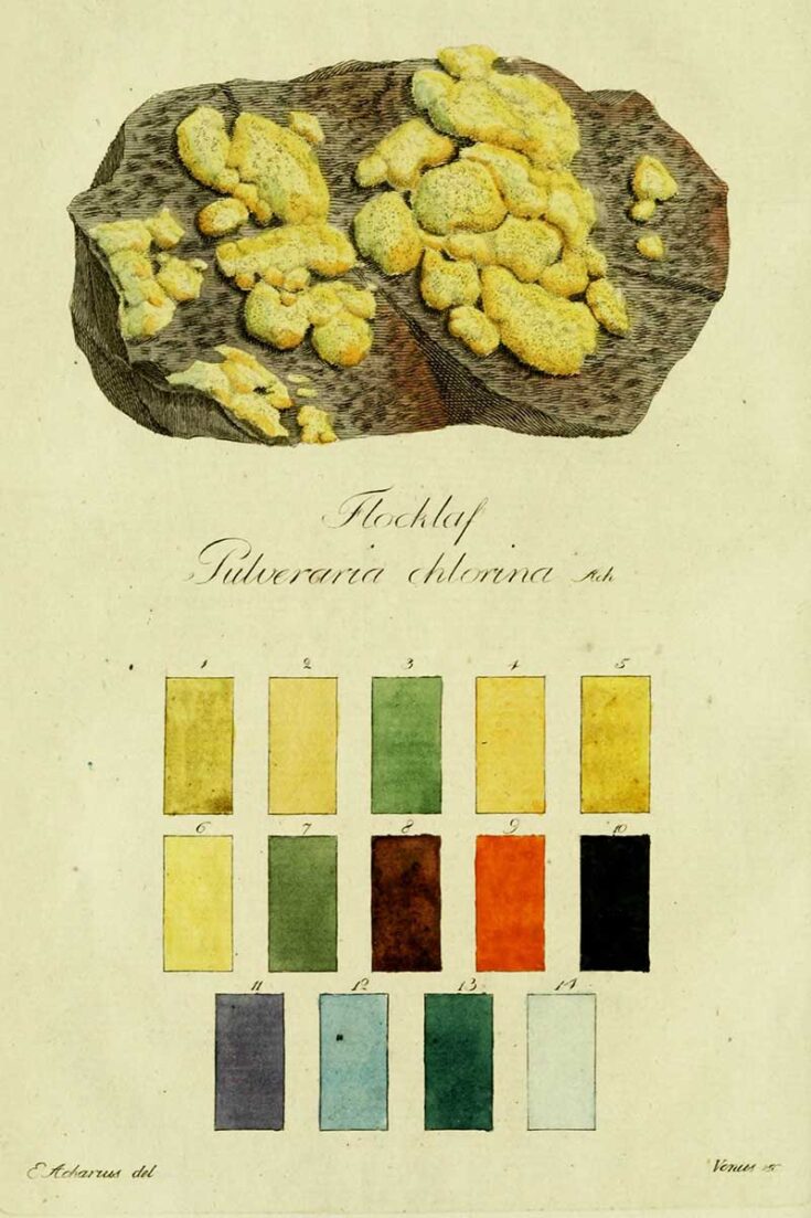24 Eye-Catching Natural Lichen Dye Colour Drawings - For Decor ...