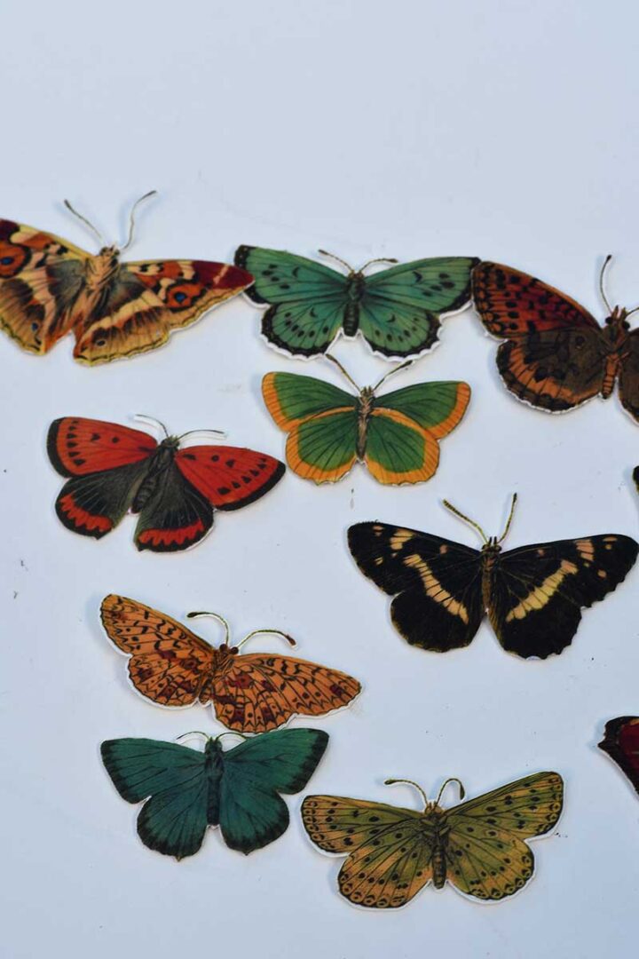 An Easy DIY Butterfly Wall Decoration You'll Want On Your Walls ...