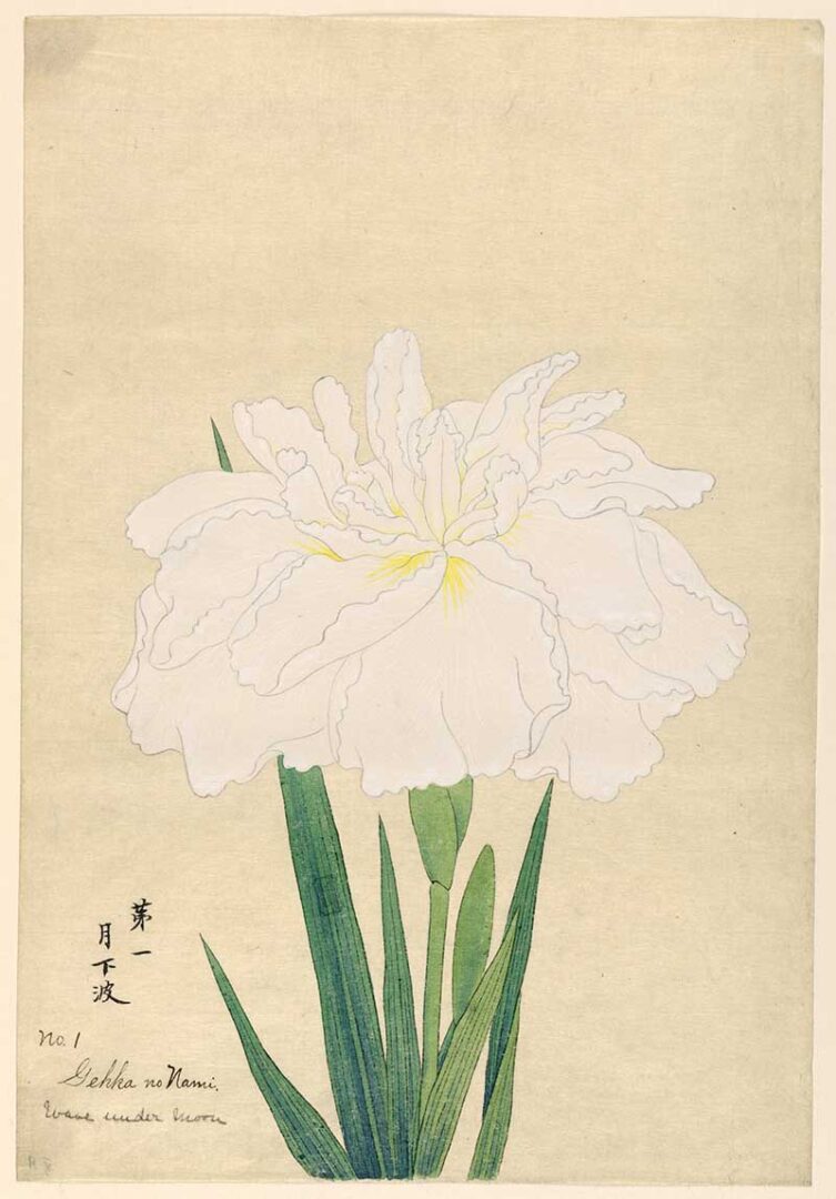 40 Beautiful Vintage Japanese Iris Paintings In The Public Domain ...