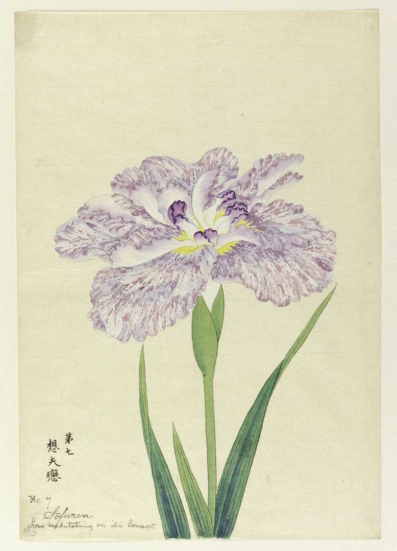 40 Beautiful Vintage Japanese Iris Paintings In The Public Domain ...