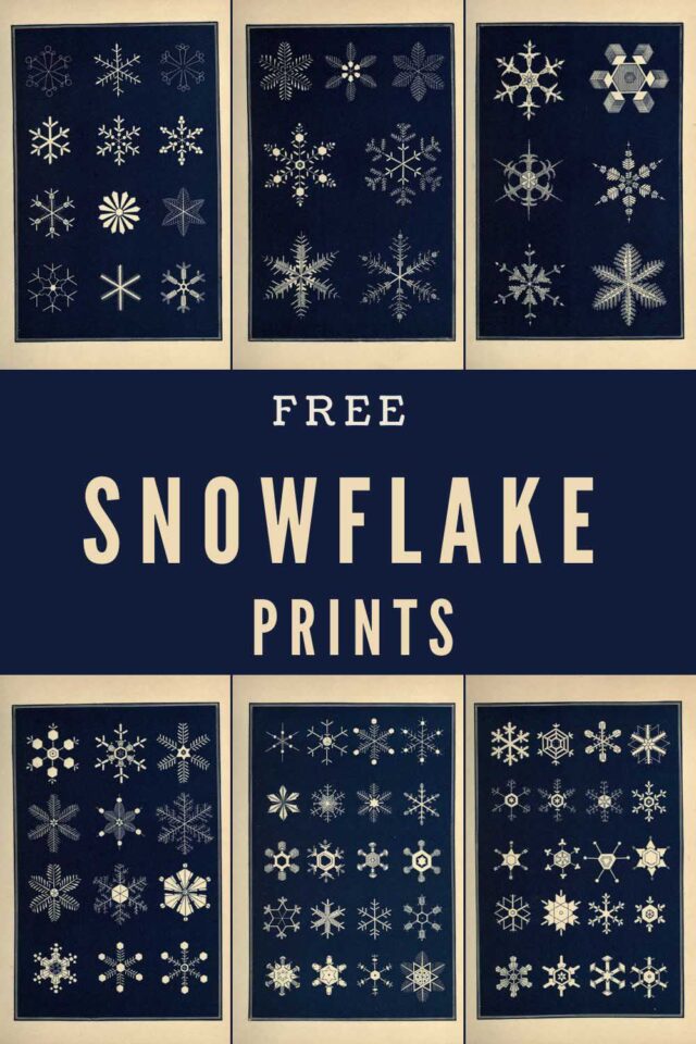 Extraordinary Free Vintage Snowflake Prints You Will Want To See ...