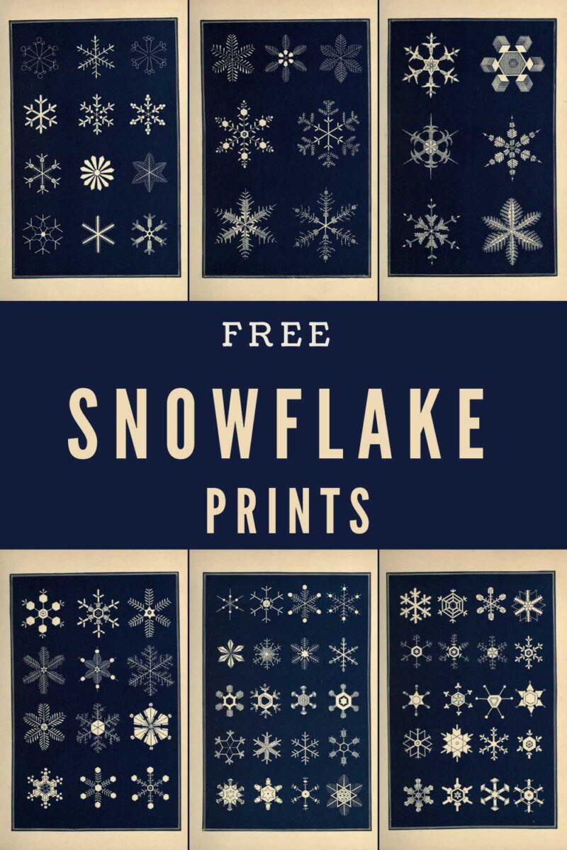 Extraordinary Free Vintage Snowflake Prints You Will Want To See ...