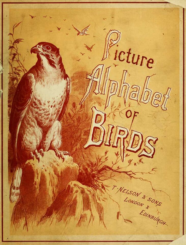 Fun Pictural Alphabet of Birds - Free To Print - Picture Box Blue