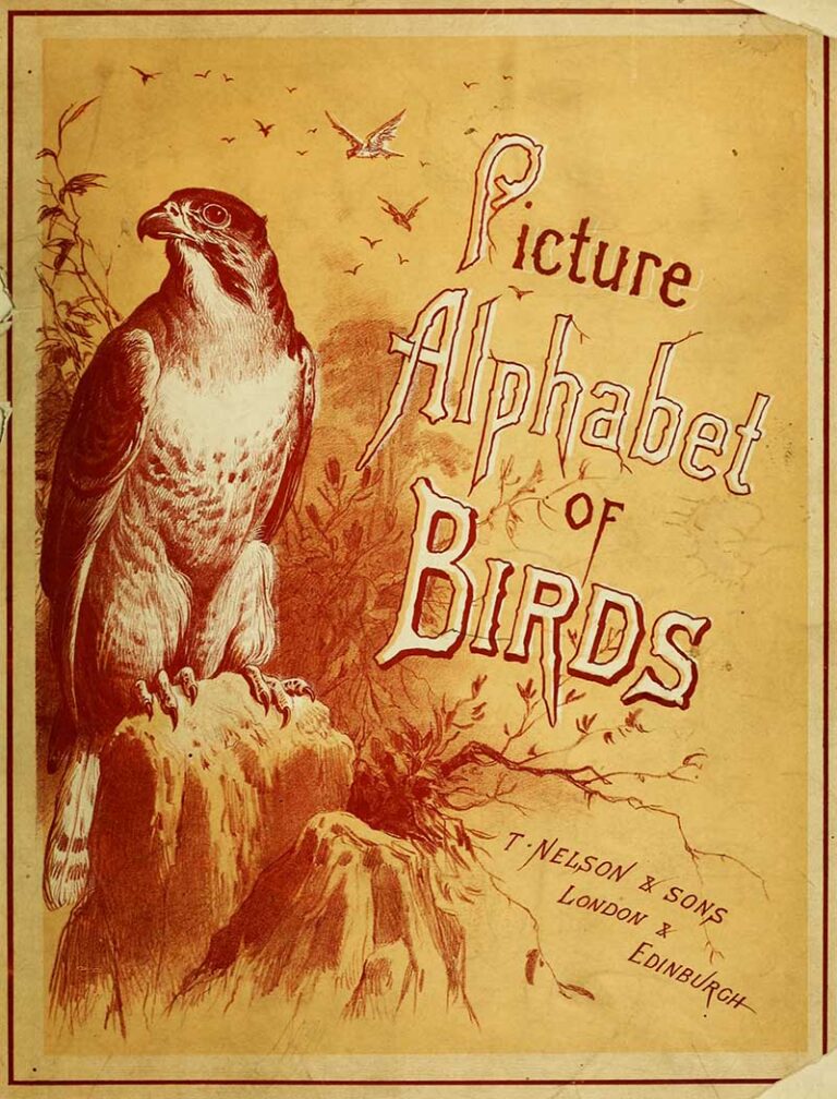 Fun Pictural Alphabet of Birds - Free To Print - Picture Box Blue