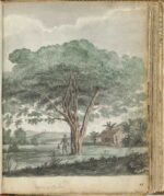 46 Beautiful Vintage Nature Illustrations by Jan Brandes - Picture Box Blue