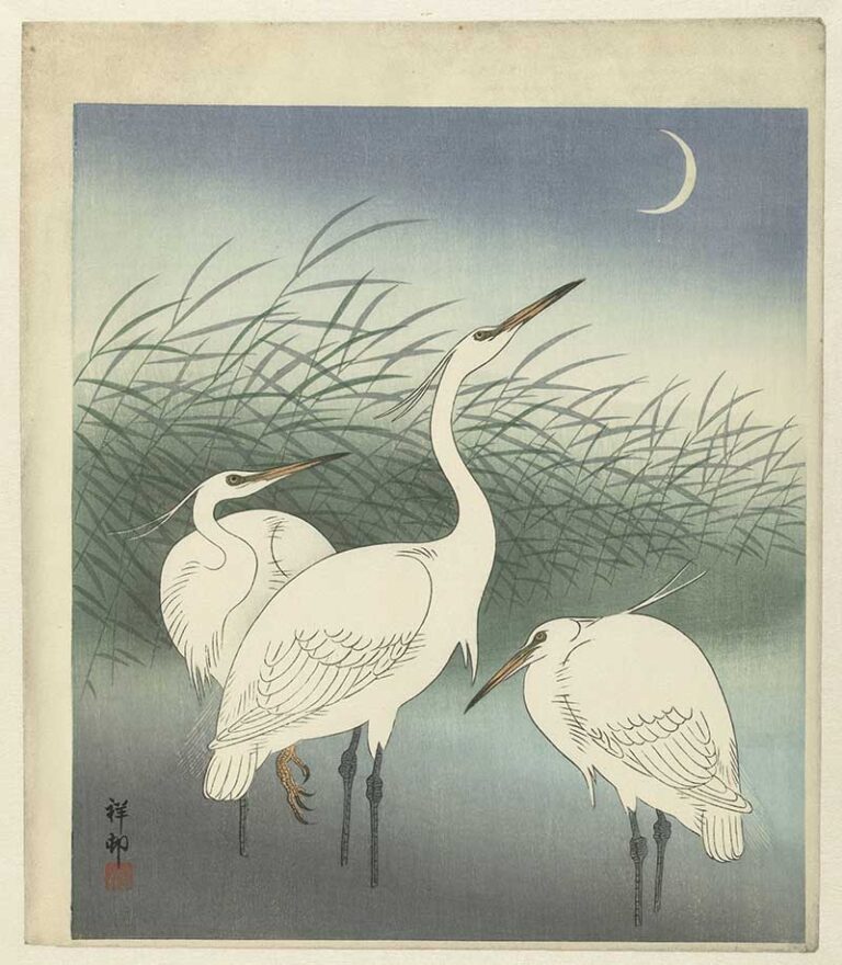 18 Stunning Vintage Heron Prints & Illustrations For Decor - Picture ...