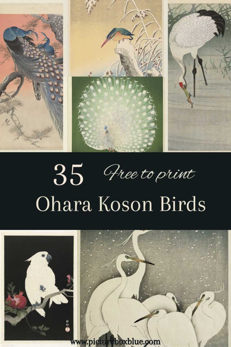 Ohara Koson Birds in Full Splendor: Download Gorgeous Free Prints Today ...