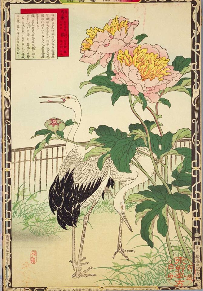 16 Beautiful Kono Bairei Prints of Japanese Flowers and Birds - Picture ...