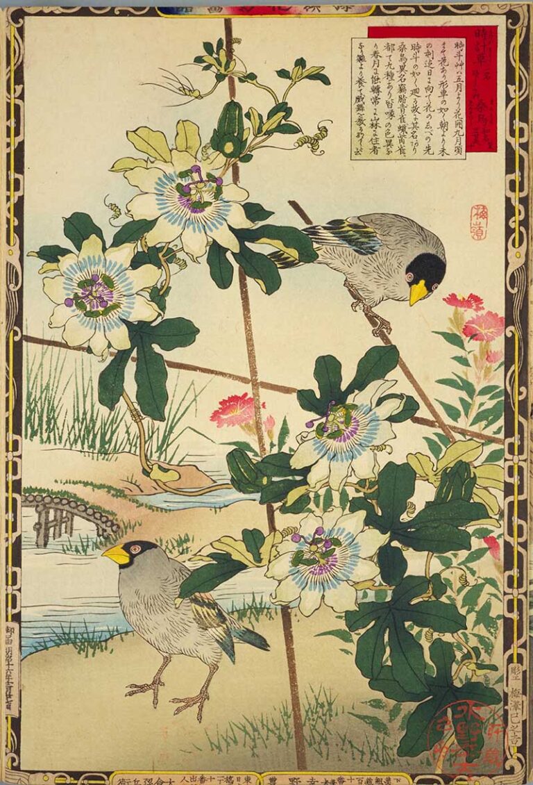 16 Beautiful Kono Bairei Prints of Japanese Flowers and Birds - Picture ...
