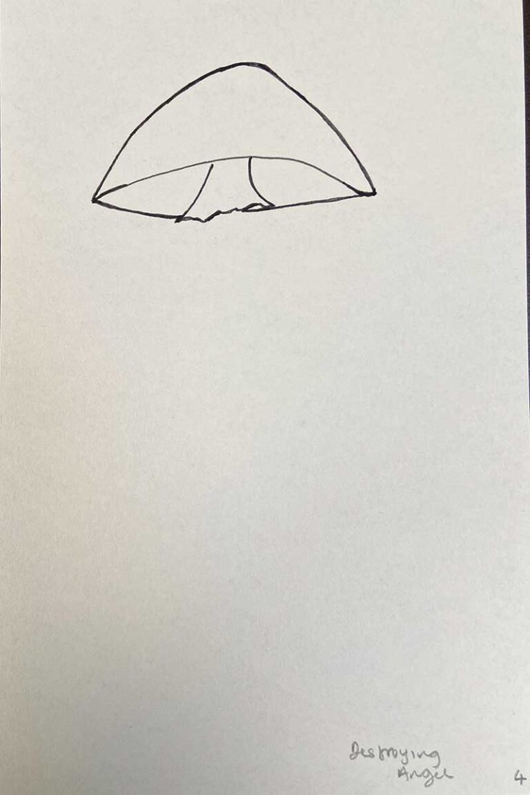 Easy Mushroom Drawing Ideas: A Step-by-Step Guide For All - Picture Box ...