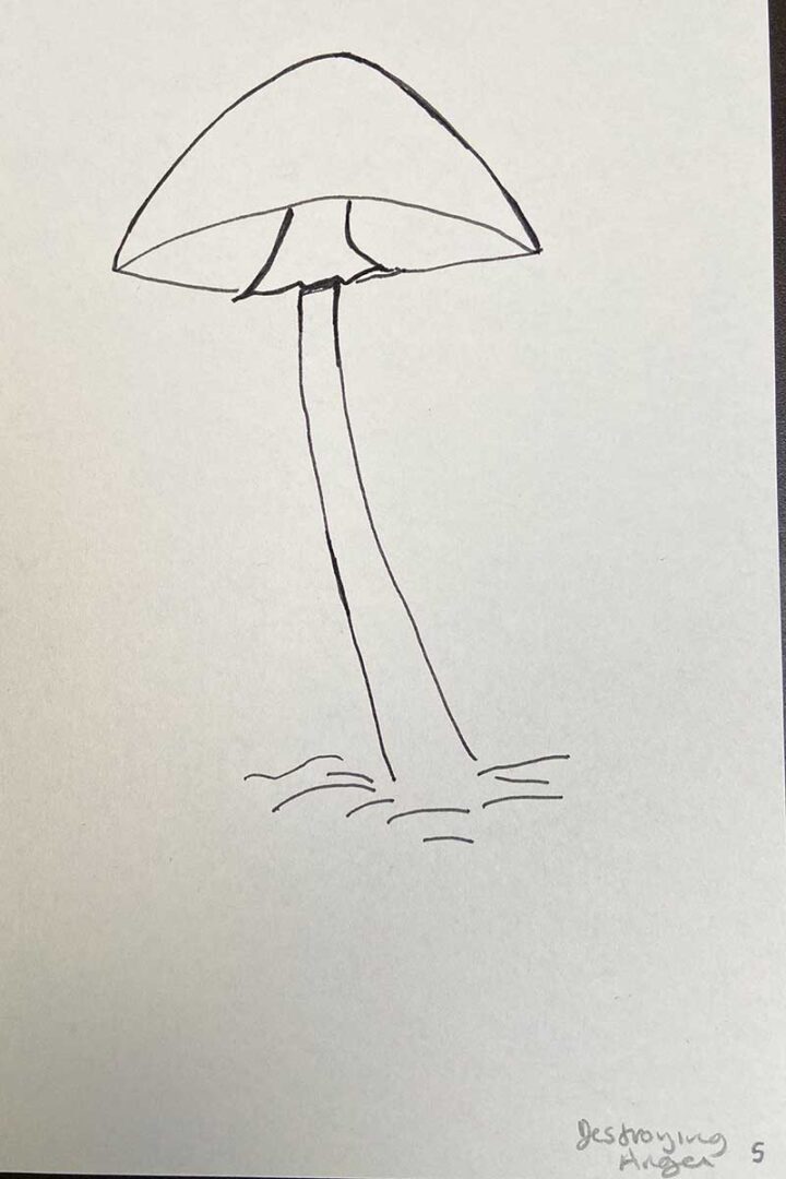 Easy Mushroom Drawing Ideas: A Step-by-Step Guide For All - Picture Box ...