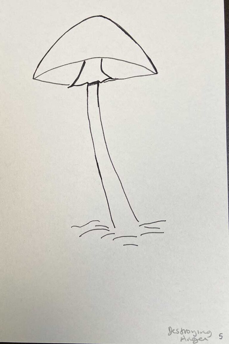 Easy Mushroom Drawing Ideas: A Step-by-Step Guide For All - Picture Box ...