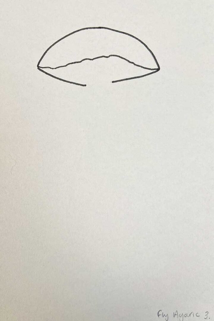 Easy Mushroom Drawing Ideas: A Step-by-Step Guide For All - Picture Box ...