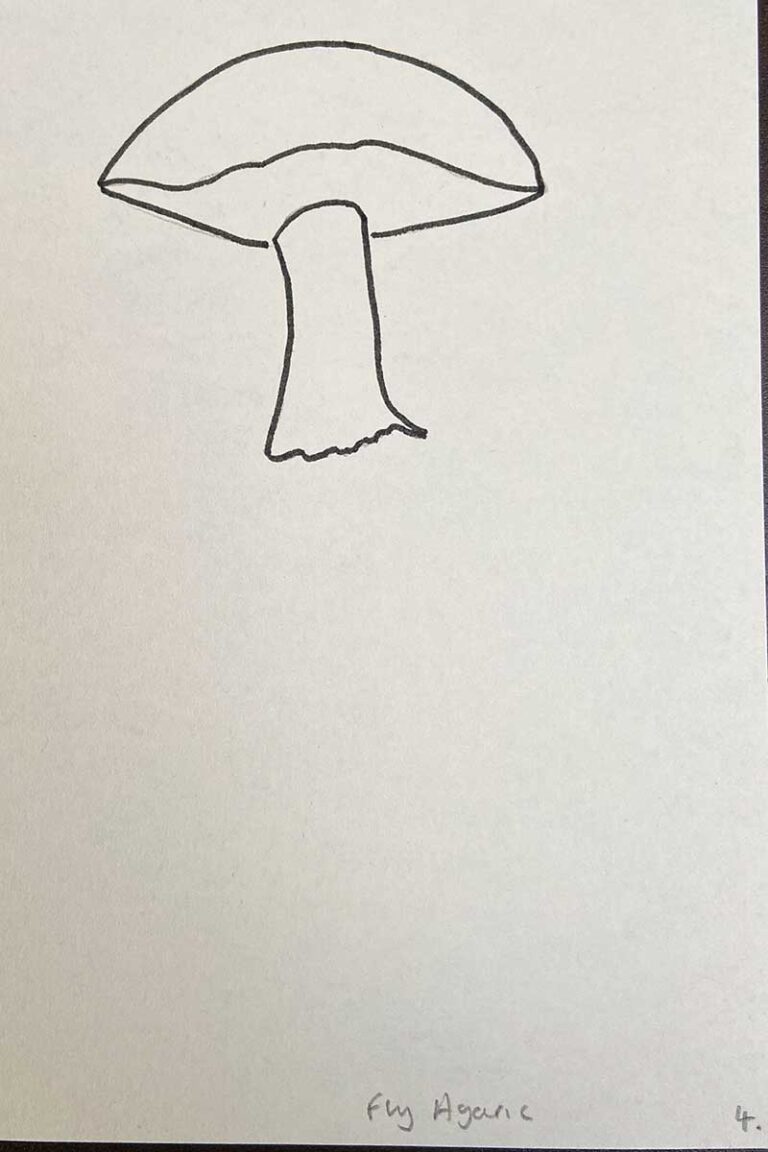 Easy Mushroom Drawing Ideas: A Step-by-Step Guide For All - Picture Box ...