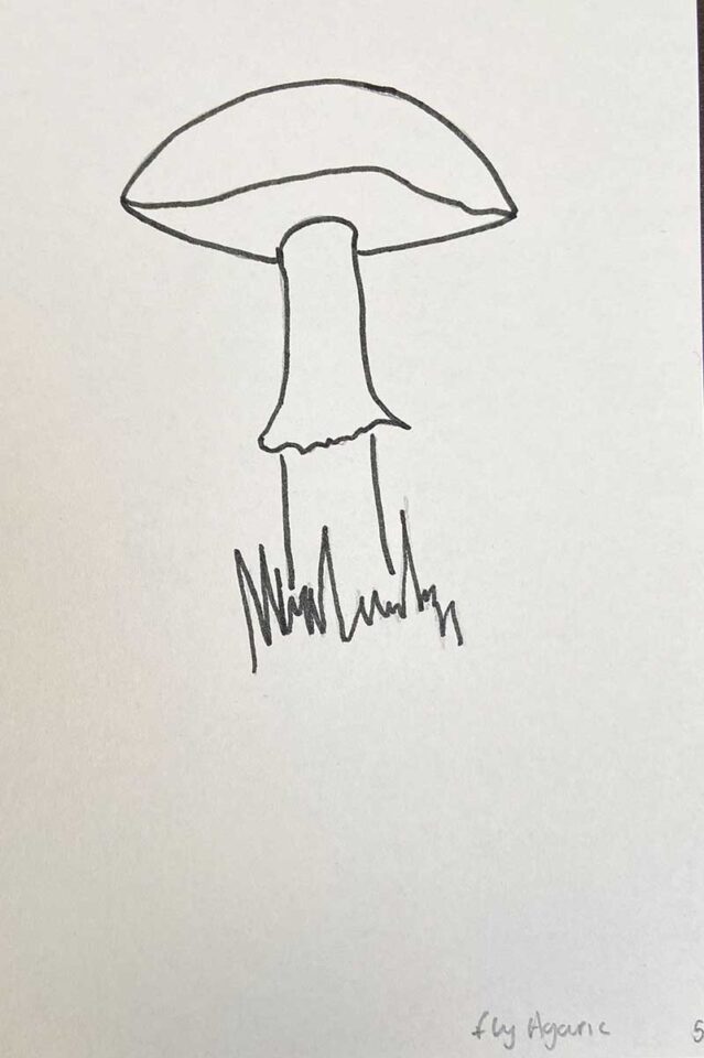 Easy Mushroom Drawing Ideas: A Step-by-Step Guide For All - Picture Box ...