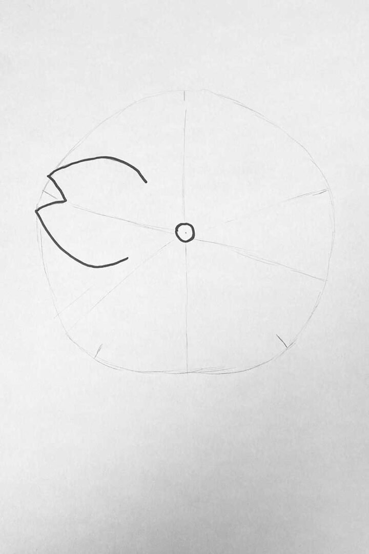 Discover How To Draw Cherry Blossom in A Few Easy Steps - Picture Box Blue