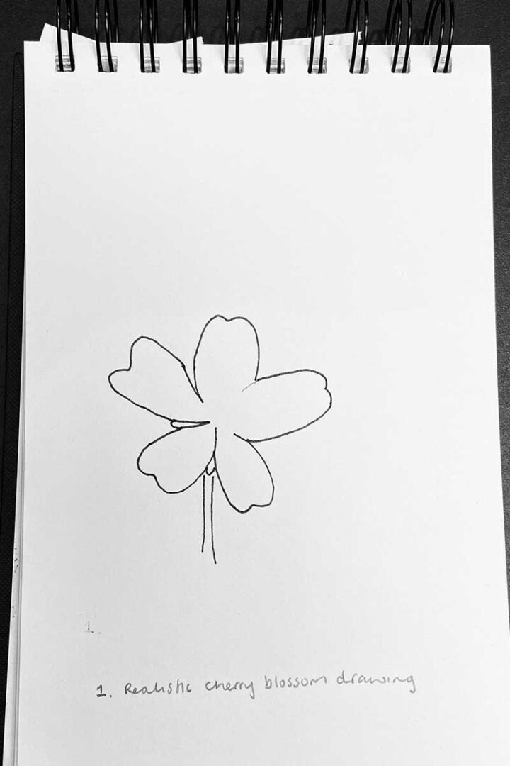 Discover How To Draw Cherry Blossom in A Few Easy Steps - Picture Box Blue