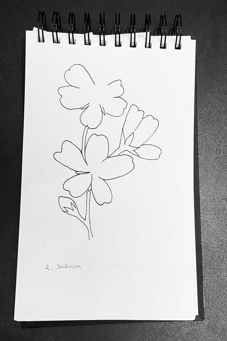 Discover How To Draw Cherry Blossom in A Few Easy Steps - Picture Box Blue