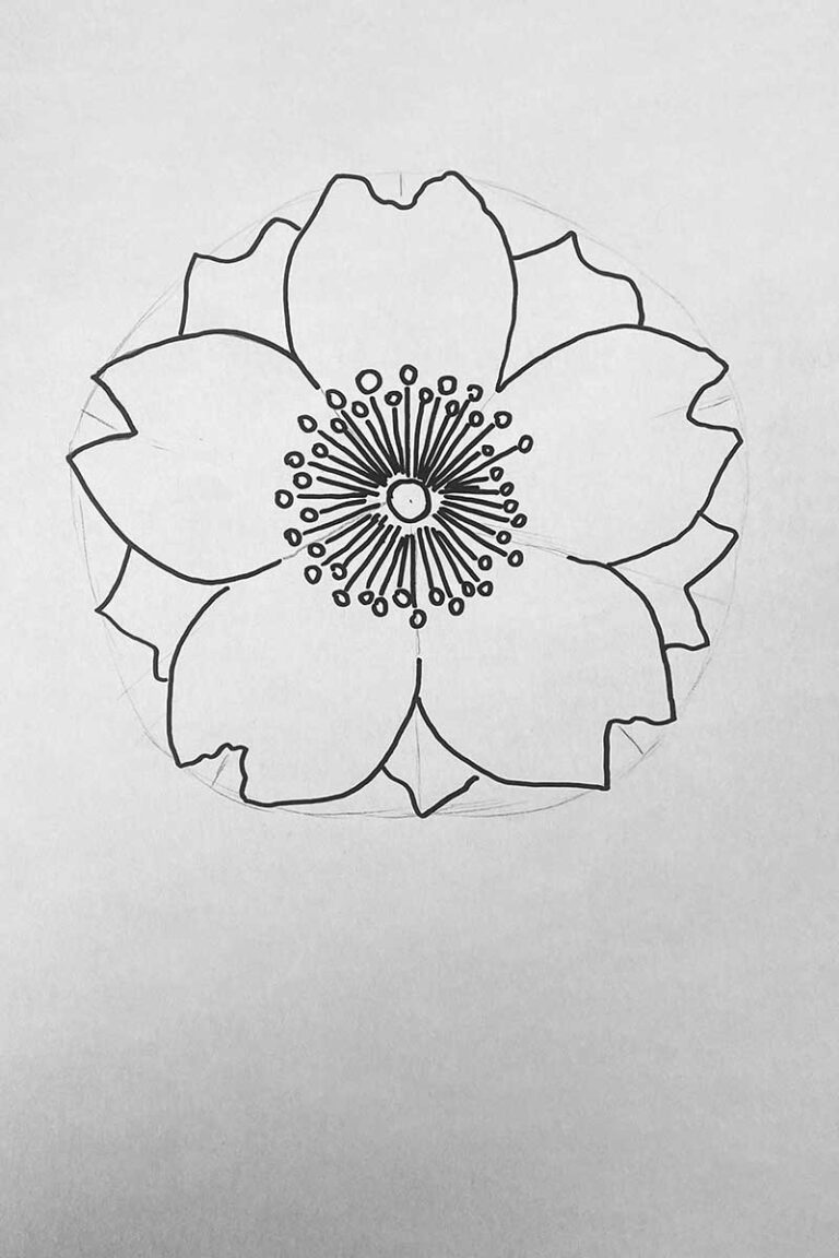 Discover How To Draw Cherry Blossom in A Few Easy Steps - Picture Box Blue