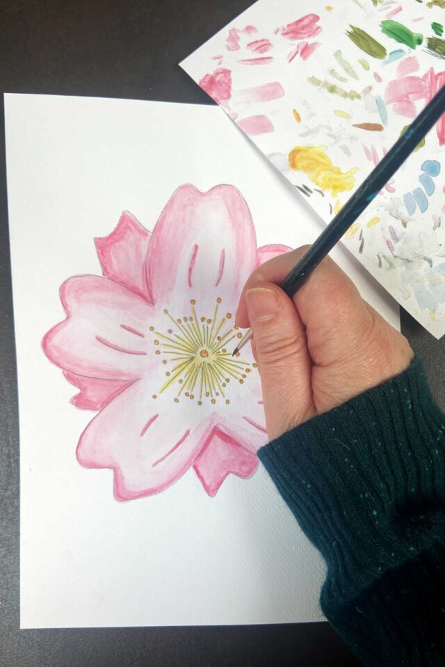 Discover How To Draw Cherry Blossom in A Few Easy Steps - Picture Box Blue