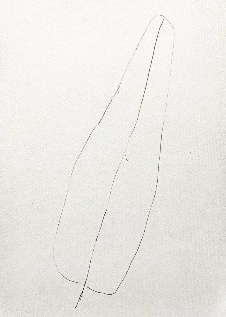 How to Draw a Fern and Create Your Botanical Garden Art - Picture Box Blue