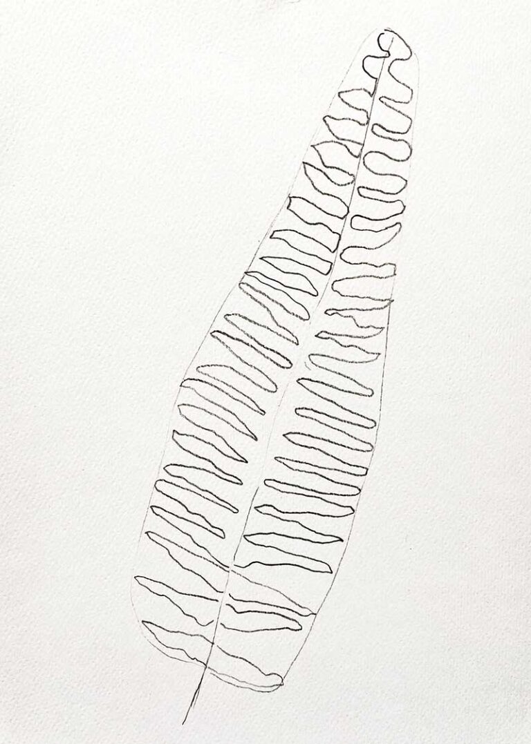 How to Draw a Fern and Create Your Botanical Garden Art - Picture Box Blue