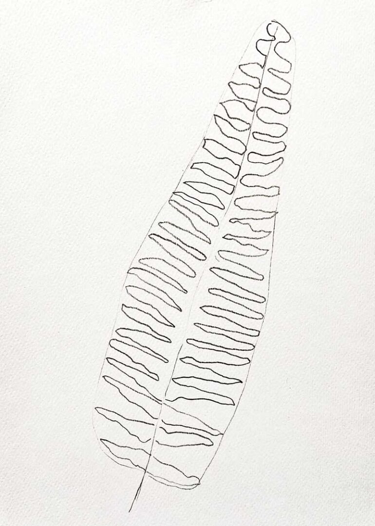 How to Draw a Fern and Create Your Botanical Garden Art - Picture Box Blue