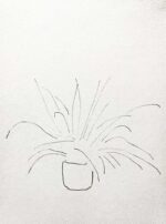 How to Draw a Fern and Create Your Botanical Garden Art - Picture Box Blue