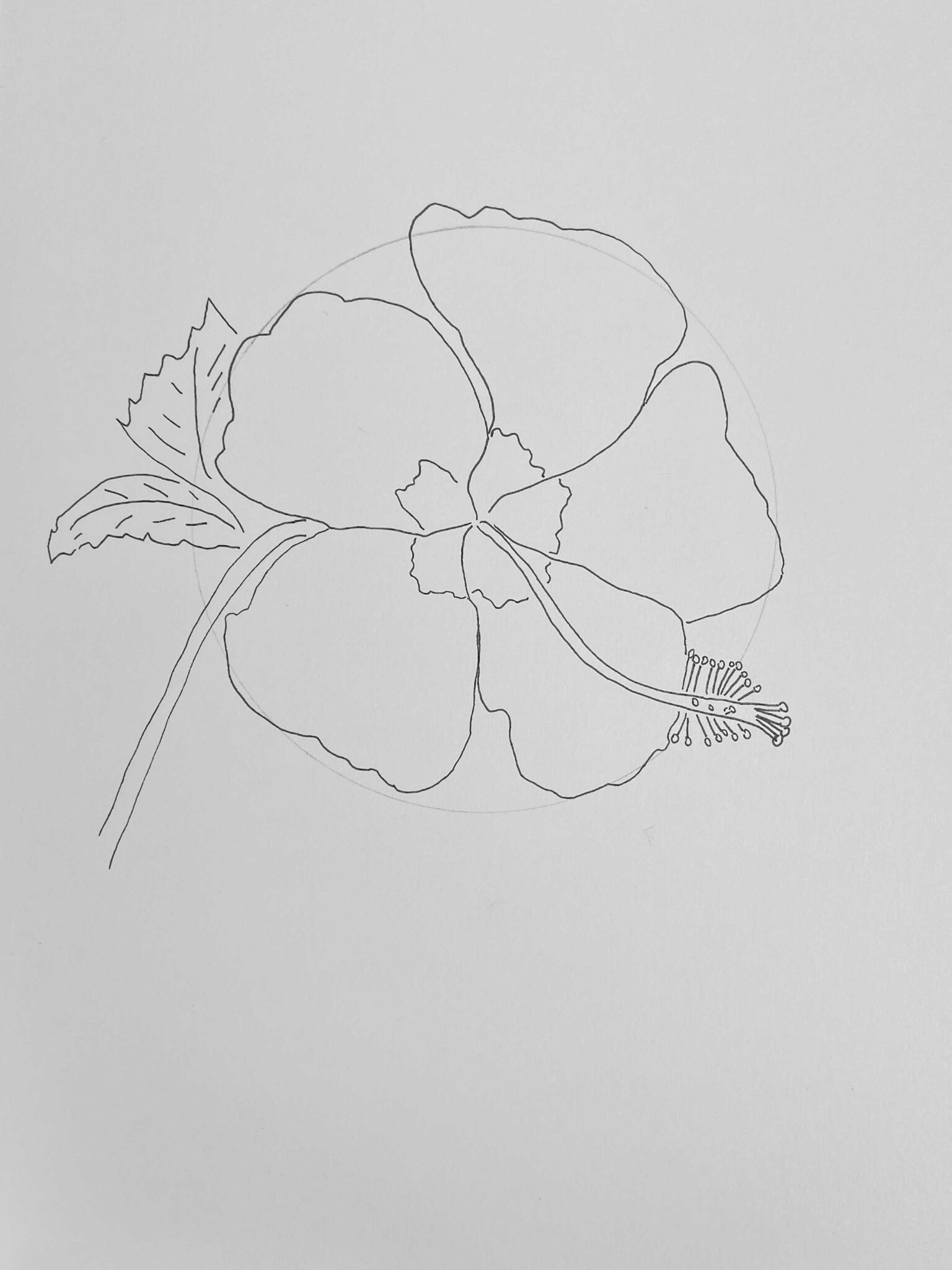 Hibiscus How to Draw: A Guide to Drawing Beautiful Flowers - Picture ...