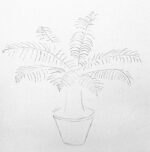 How to Draw a Fern and Create Your Botanical Garden Art - Picture Box Blue