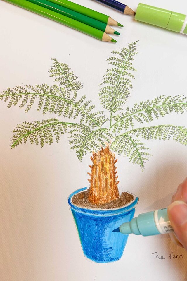 How to Draw a Fern and Create Your Botanical Garden Art - Picture Box Blue