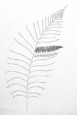 How to Draw a Fern and Create Your Botanical Garden Art - Picture Box Blue
