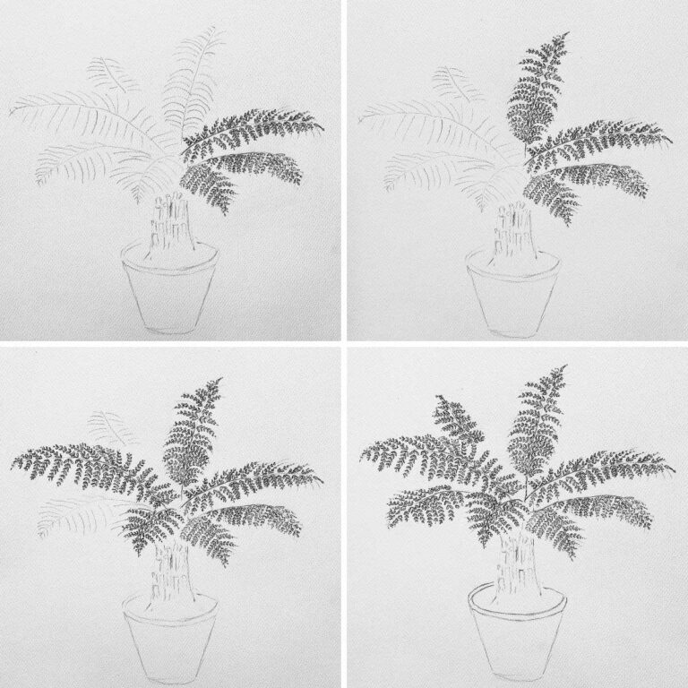 How to Draw a Fern and Create Your Botanical Garden Art - Picture Box Blue